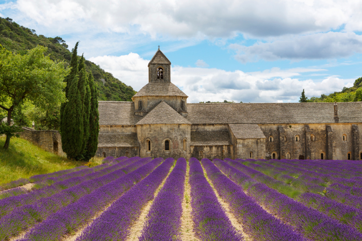 France Travel Advisory 2026 - Is It Safe to Visit Paris Now | Tours4fun