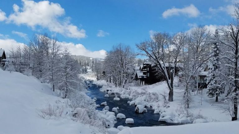 Top 10 Snowy Places in California to Visit This Winter | Tours4fun